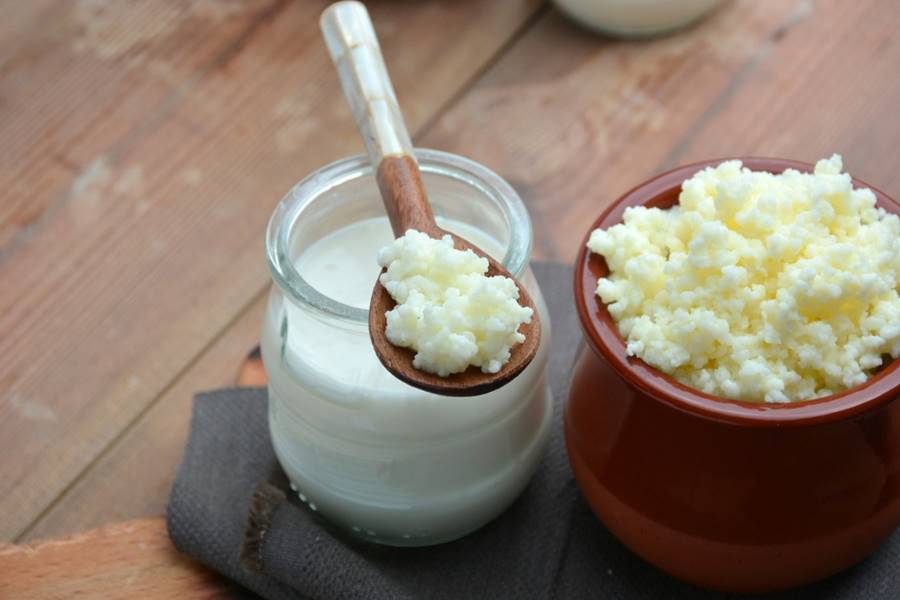 Kefir Nedir? Faydaları Nelerdir? - Kivi Tadında