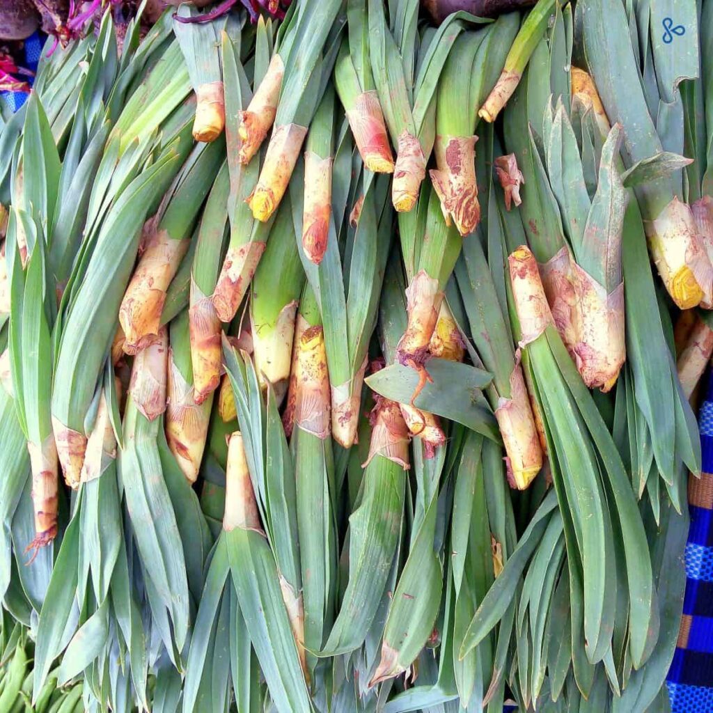 Çiriş Otunun Faydaları Nelerdir? - Kivi Tadında